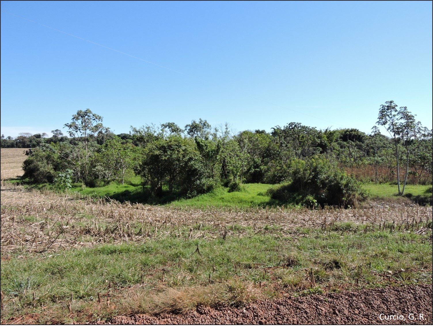 ORGANOSSOLOS DO SUBPLANALTO CASCAVEL – Características e potencial de ...