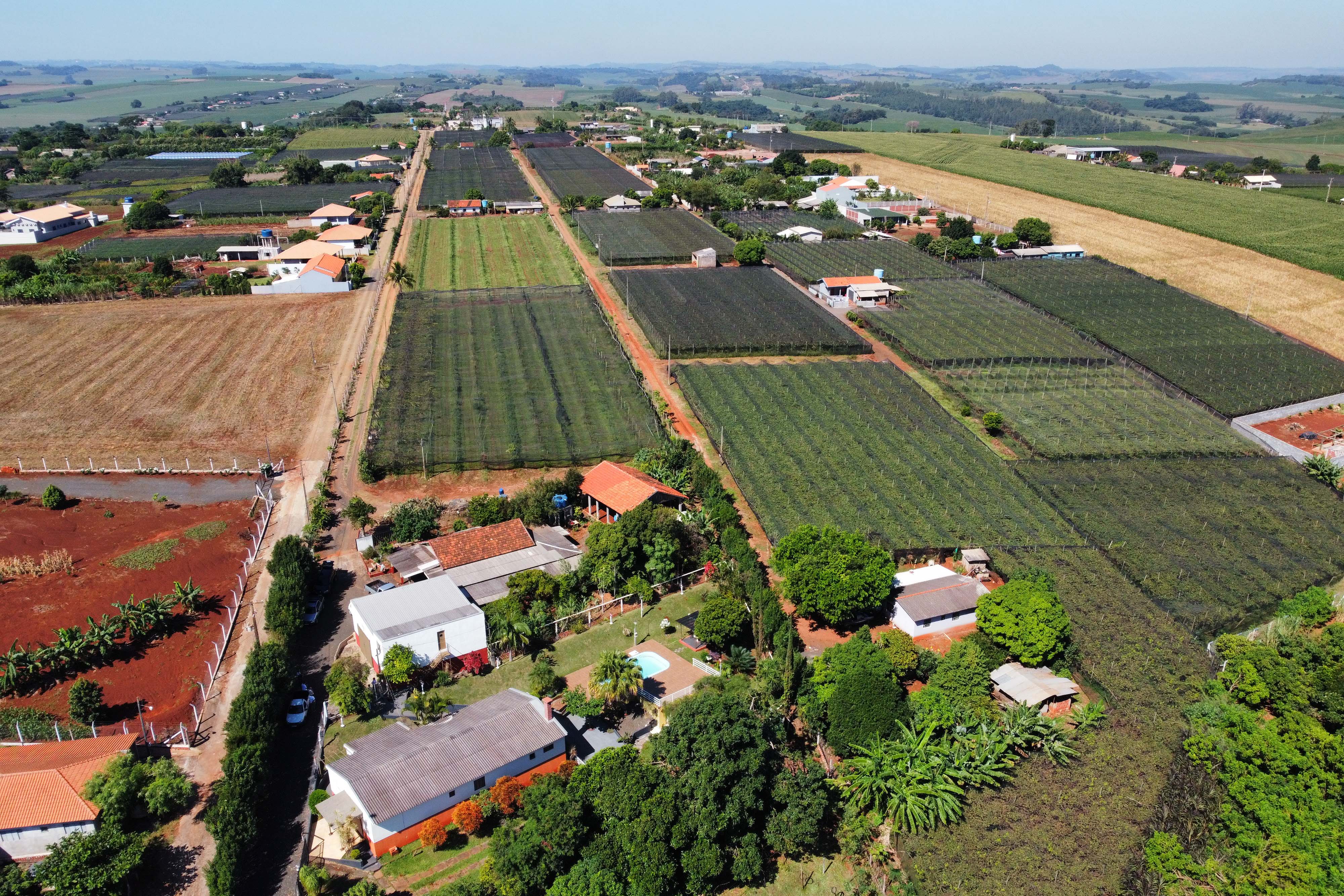 Indicação Geográfica reforça vocação de Marialva como maior produtor de ...